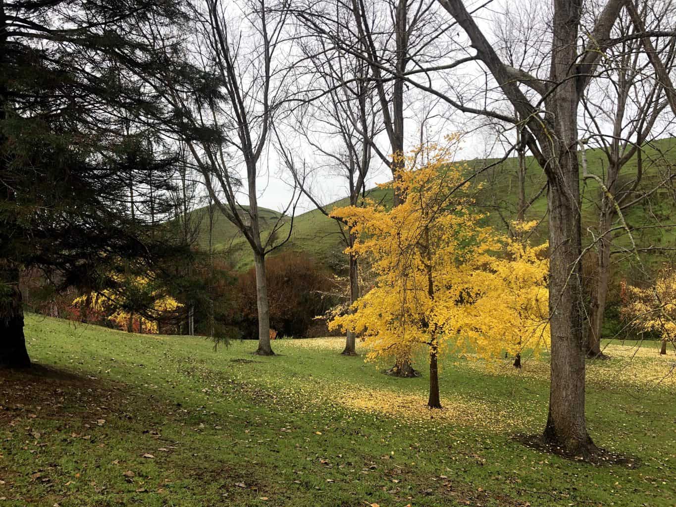 Spring Gardens - Bason Botanic Gardens - Whanganui