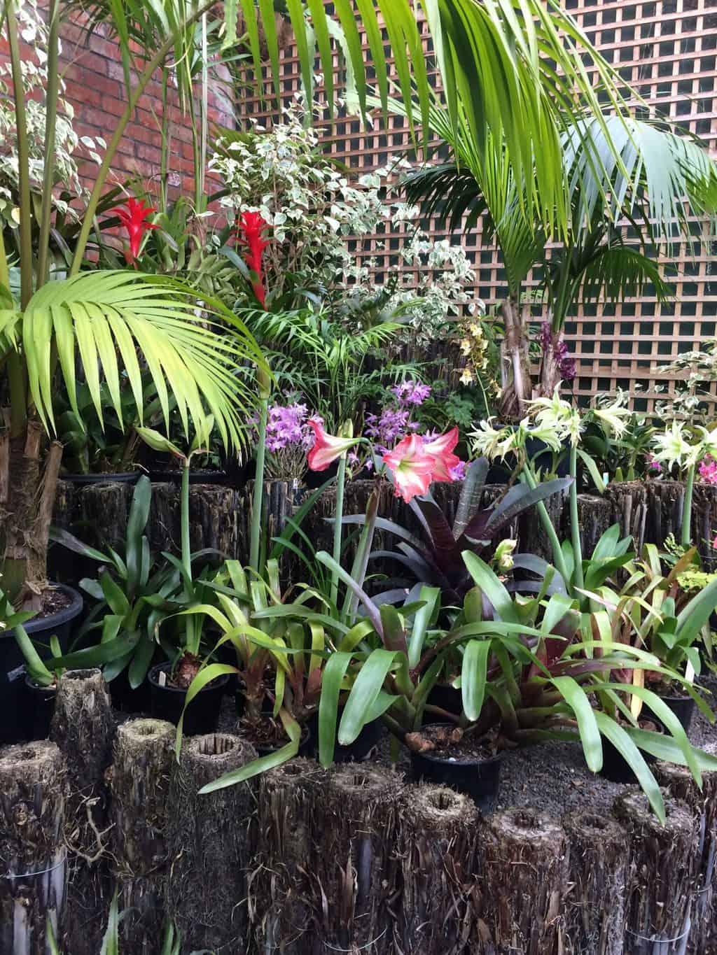 Conservatories - Bason Botanic Gardens - Whanganui