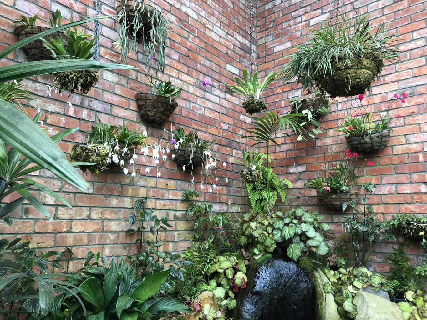 Conservatories - Bason Botanic Gardens - Whanganui