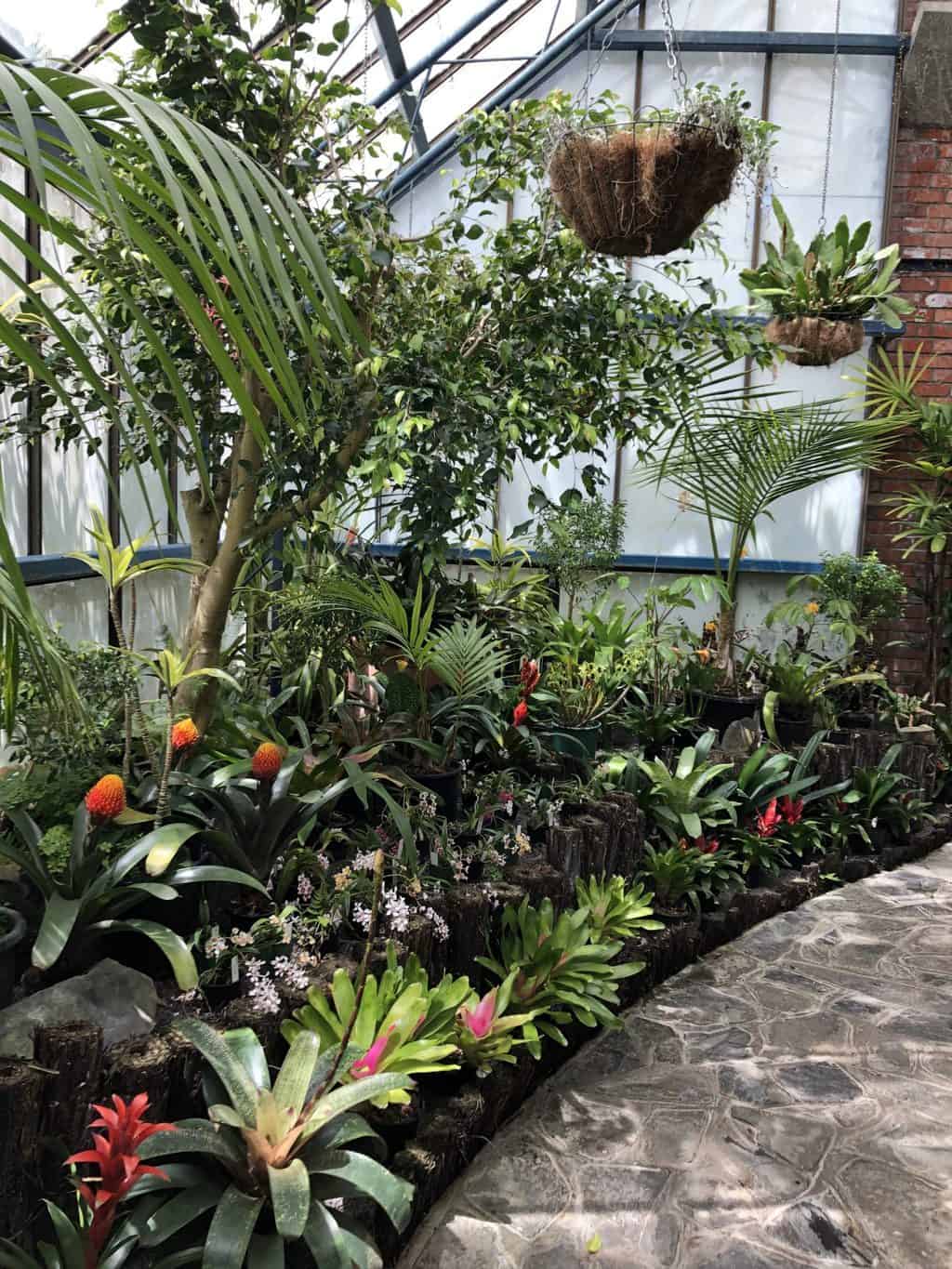 Conservatories - Bason Botanic Gardens - Whanganui